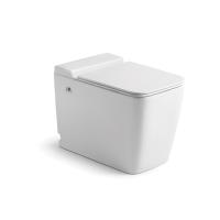 China Modern Pulse Tankless Toilet Floor Mounted WC For Bathroom for sale