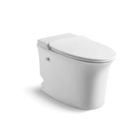 China Pulse Floor Mounted Tankless Toilet Elongated With Touchless Flush for sale