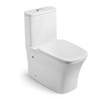 China Modern White Ceramic One Piece Toilet Floor Mounted P Trap S Trap Dual Flush Elongated for sale