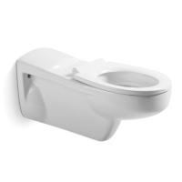 China Ceramic Sanitary Ware Disabled Toilet Set Wall Hung For Disable People for sale