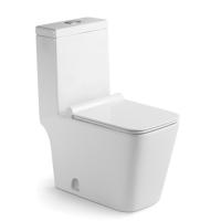 China Bathroom Ceramic Siphonic Modern One Piece Toilet Cupc North America White Floor Mounted for sale