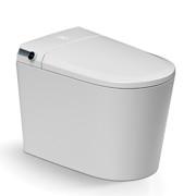 China Modern Smart Toilet with Built-in Ceramic Water Tank for Project Building Modern Bathroom Solution for sale