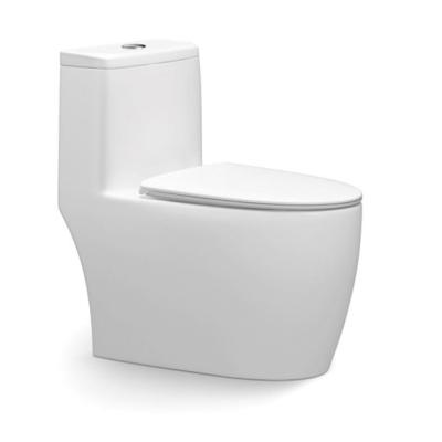 China Ceramic One Piece Dual Flush Toilet Top Flush S Trap Elongated Bowl For Hotels Bathrooms for sale