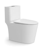 China Modern Ceramic One Piece Toilet 700*390*720mm Wider S Trap Siphon Flushing for sale