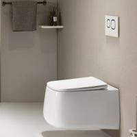 China Bathroom Wall Mounted Toilet Ceramic Sanitary Ware With UF Toilet Seat for sale