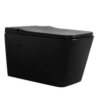 China Bathroom Wall Hung Tankless Toilet Matt Black Color With Strong Flush Power for sale