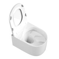 China Wall Hung Concealed Cistern Toilet 20 Inches With Woman Friendly Design for sale