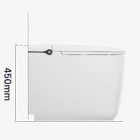 China Luxury One Piece Modern Smart Toilet Automatic Ceramic Intelligent Toilet for sale