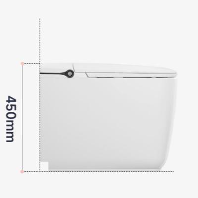 China Luxury One Piece Modern Smart Toilet Automatic Ceramic Intelligent Toilet for sale