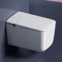 China Multifunction Ceramic Elongated Bowl Modern Smart Toilet Electric With Sunken Tank for sale
