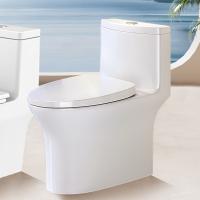 China Bathroom One Piece Siphonic Washdown Toilet Rimless Ada Cupc CE Approved for sale