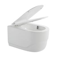 China Dual Flush Concealed Cistern for Wall Hung Toilet Bowl Ceramic Sanitary Ware Set Wc Tankless for sale