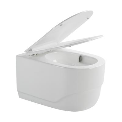 China Dual Flush Concealed Cistern for Wall Hung Toilet Bowl Ceramic Sanitary Ware Set Wc Tankless for sale