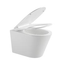 China Luxury Ceramic Wall Hung Toilet Concealed Tank Dual-Flush Elongated Bowl P-Trap Drainage for Modern Bathrooms Includes Bidet for sale