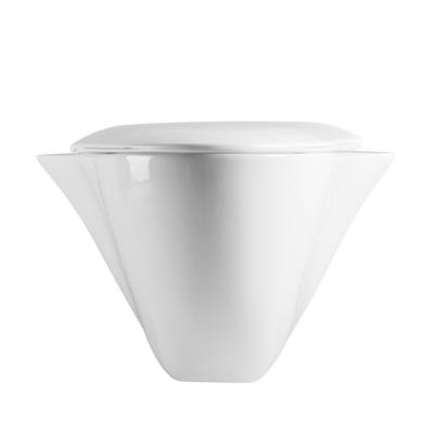 China Hidden Watertank Wall Hung Toilet Bowl Washdown Fulsh Sanitary Ware Wall Mounted Ceramic Toilet Commode for sale