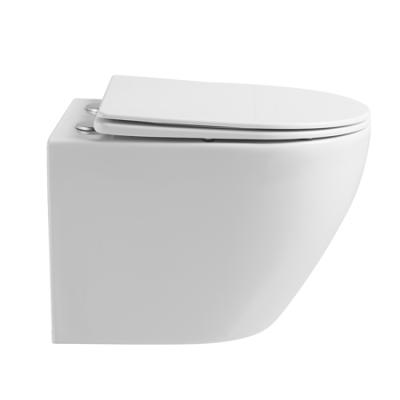 China Bathrooms Designs Toilet Ceramic Wall Mounted Toilet Seat Modern Wash Down Wall Hung Sanitary Toilet Bidet for sale