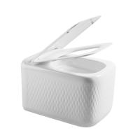 China Sleek Modern Durable Ceramic Anti-Smell Glaze Premium Sanitary Ware Home Hotel Wall Mounted Toilet for sale