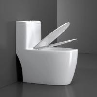 China Modern Design Ceramic One Piece Toilet High Quality Dual-Flush with S-Trap Drainage for Home Use for sale