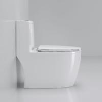 China Dual-Flush Ceramic Floor Mounted Toilet Set with Hidden Water Tank One Piece Bowl P-Trap S-Trap Installation Toilets Lavatory for sale