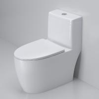 China Ceramic WC Sanitary Ware One Piece Toilet Electronic Automatic Bathroom Smart One Piece Floor Smart Intelligent WC Toilets for sale