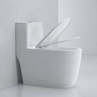 China Floor High Quality S-Trap 300mm Ceramic Sanitary Ware Siphonic One Piece Toilet with Dual Flush for sale