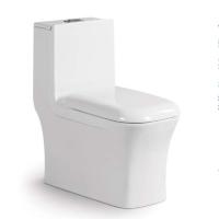 China Wholesale Dual Flush Water Closet Ceramic Washdown Rimless P-Trap One Piece Toilet for sale
