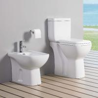 China Ceramic Bathroom Sets Sanitary Ware Dual Flush Water Closet with Water Tank P Trap Two Piece Toilet Bowl for sale