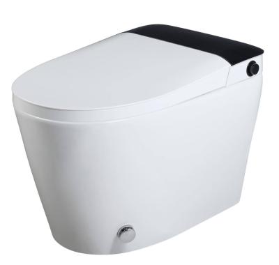 China No Water Pressure Modern Comfortable Floor Mounted Washing Smart Seat Cover Without Power Cord Toilet Bathroom Hotel for sale