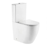 China Europe Close-Coupled 2 Piece Toilet Ceramic Bathroom Toilet Sanitary Ware Rimless Back to Wall Toilet for Bathrooms for sale