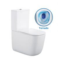 China White Ceramic Toilet With Soft Close Cover Slow-Close Quiet Hinges Durable & Easy To Clean for sale