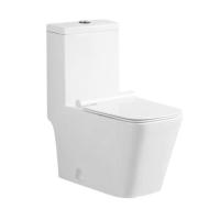 China Separate and Integrated Outlet Toilet Seat Urinal Australia Watermark EU CE Saudi SASO Certification Direct Flush for sale
