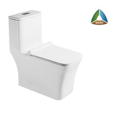 China Middle East Saudi Arabia SASO Washdown Toilets,China Factory White Ceramic One Piece Toilet,P-Trap or S-Trap Available for sale
