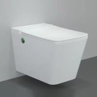 China ALLWELL In-tank Japanese Toilet square Style Wall Mounted square Bidet Toilet and Hidden Water tank Inside the Wc for Bathroom for sale