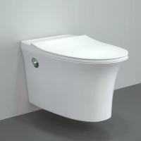 China Bathroom Ceramic Pulse Wall Hung Toilet Ceramic Washdown Wall Mounted Tankless Toilet for sale