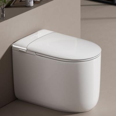 China Smart Toilet with Bidet Flush Toilets with Tank for Office Building Project for sale