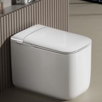 China Electric Bidet Toilet with Auto Lid Opening Intelligent Toilet with Tank for Wholesale for sale