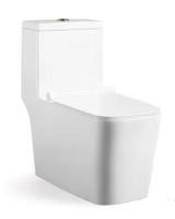 China Luxury Popular Sanitary Ware Suit Siphonic One Piece Toilet For Sink Bathroom Washroom Hotel Home for sale