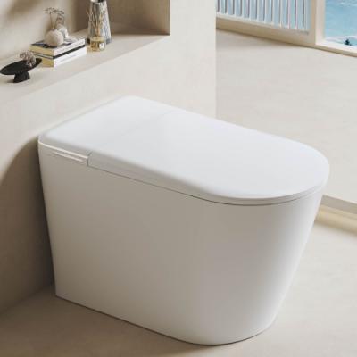 China Upgraded Smart Toilet with Powerful Flush for Low Water Pressure Instant Warm Clear electric bidet toilet seat for sale