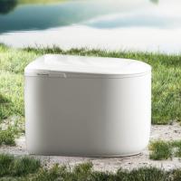 China Smart Toilet One Piece Bidet Toilet with Water Tank & Pump 1.06 GPF Auto Flush for sale