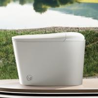 China CE Certificate and Watermark Certificated Smart Toilet for Drop shipping School Apartment for sale