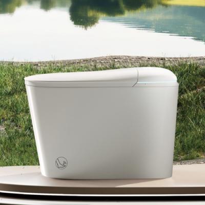 China CE Certificate and Watermark Certificated Smart Toilet for Drop shipping School Apartment for sale