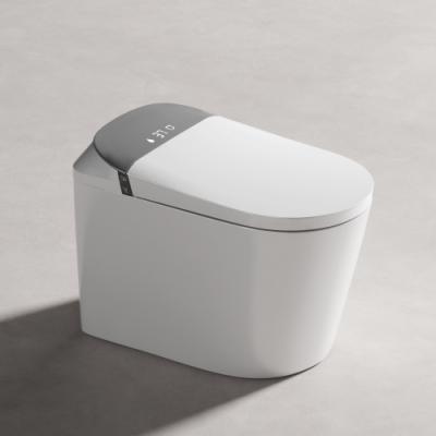 China Watermark Certificated Smart Toilet Sanitary Ware Siphonic Automatic Flush Intelligent Smart Toilet for sale