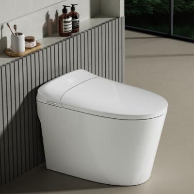 China CE Certificate Europe Design Styles Wall-Hung Intelligent Smart Ceramic Toilets for sale