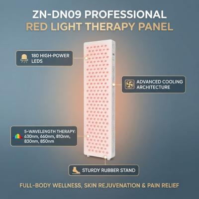 China ZN-DN09 High-Power Red Light Therapy Panel | Full Body LED Light Therapy Device for sale