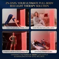 China ZN-DN15 Professional Full-Body Red Light Therapy Panel for Wellness & Recovery for sale