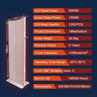 China ZN-DN15 Professional Full-Body Red Light Therapy Panel for Wellness & Recovery for sale