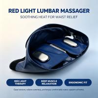China ZN-WM09 Bionic Dual-Airbag Waist Massager with Heat Therapy & Vibration Tapping for Lower Back Pain Relief for sale