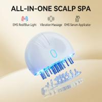 China ZN-HA22 Multi-Functional 3-in-1 EMS Red & Blue Light Scalp Head Massage Brush and Hair Growth Liquid Applicator for sale