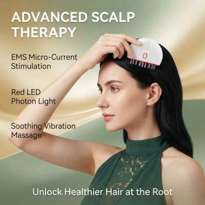 China ZN-HA22 Multi-Functional 3-in-1 EMS Red & Blue Light Scalp Head Massage Brush and Hair Growth Liquid Applicator for sale