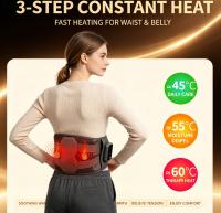 China ZN-RM19 Portable Dynamic Stretching Waist Massager with Heat and Airbag Compression for sale